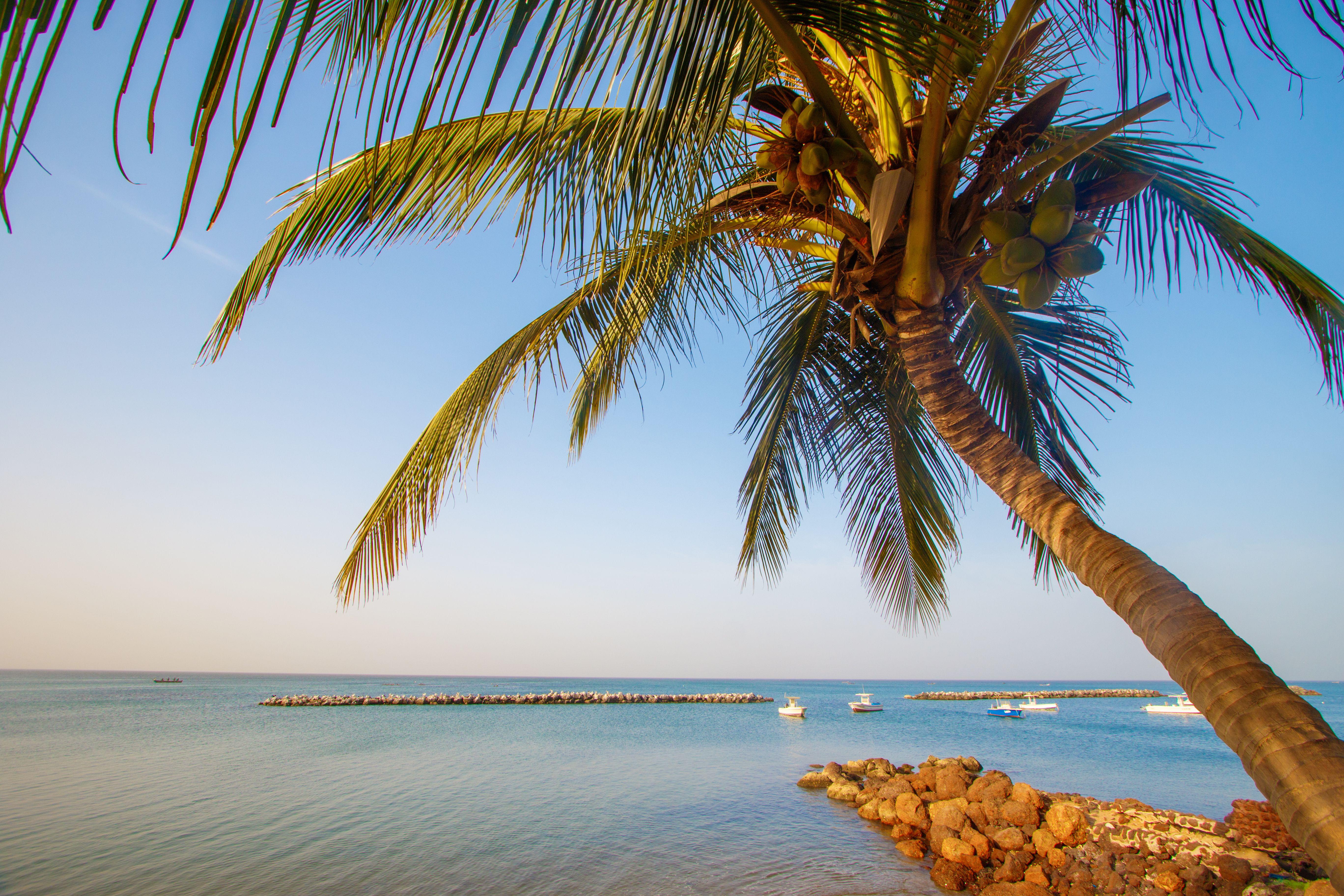 Viaje a senegal: Esencias de Senegal y Playas - CATAI