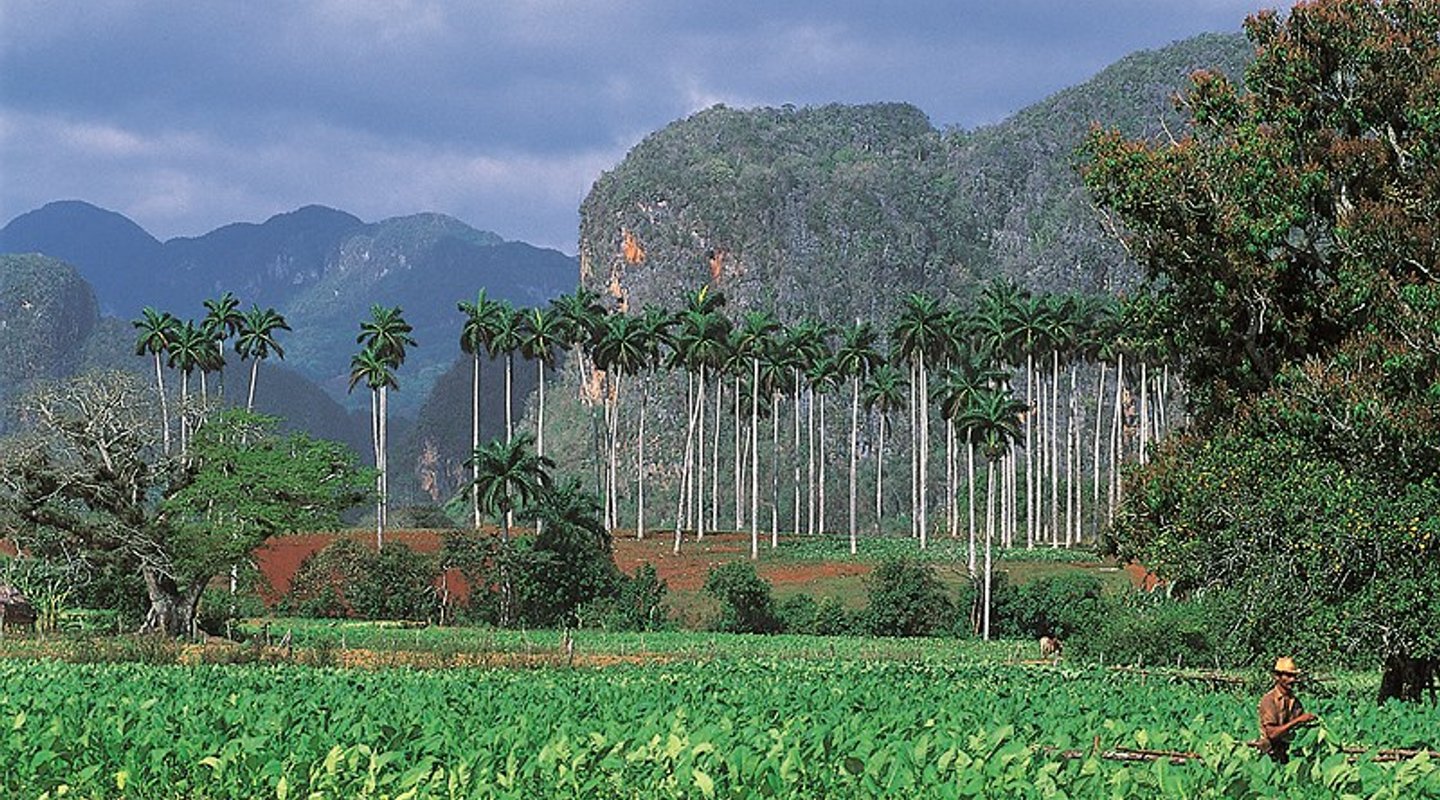 Recorriendo el occidente cubano