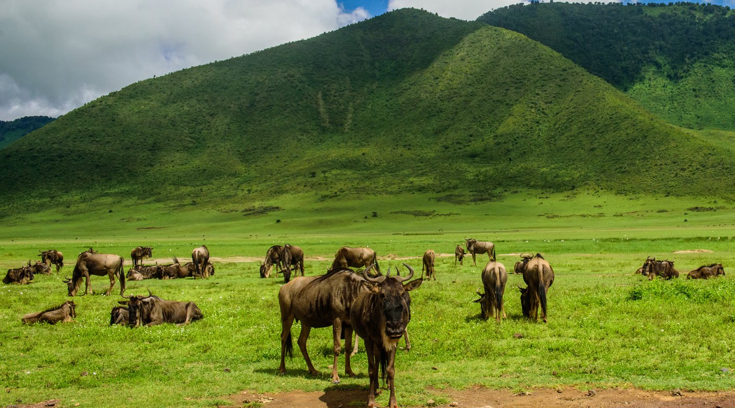 Viaje a tanzania: Maravillas de Tanzania en Hoteles Laba Laba - CATAI
