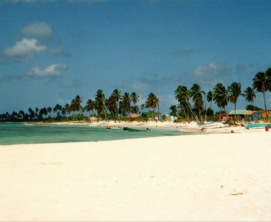 As 6 melhores praias de Bayahibe. O tarcera é ideal para mergulhar!