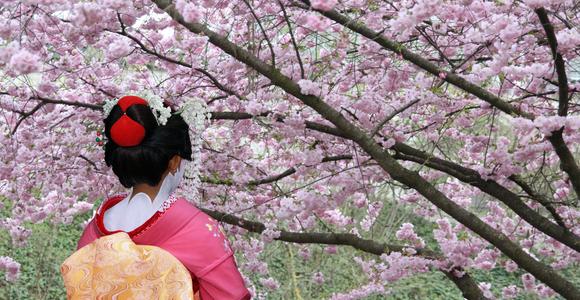 Viajar en Primavera ¡ideas de viajes para ver la floración!