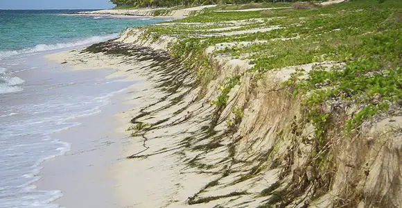 Las mejores playas de Roatán