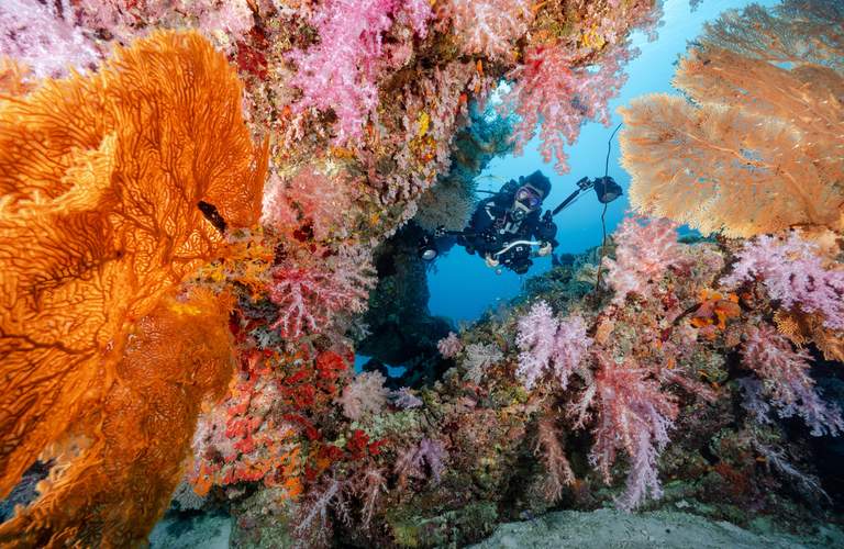 Descubre el paraíso del buceo en Roatán, Honduras