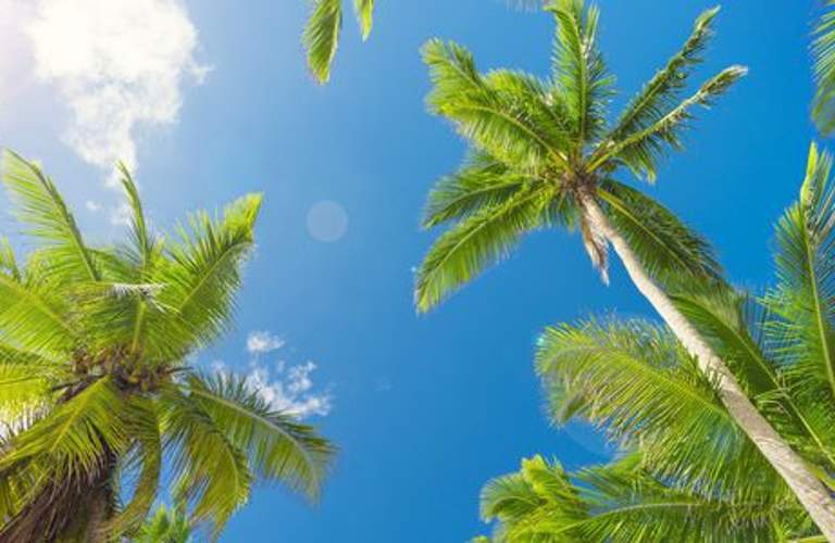 As 6 melhores praias de Bayahibe. O tarcera é ideal para mergulhar!