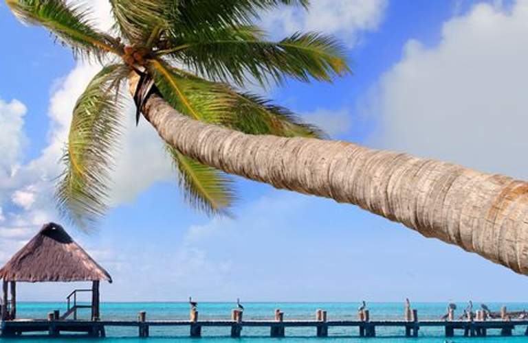 As melhores praias da Riviera Maya para aproveitar as melhores férias